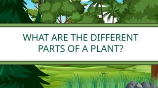 Q2 Science Parts of A Plant (This is a lesson about the different parts ...