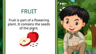 Q2 Science Parts of A Plant (This is a lesson about the different parts ...
