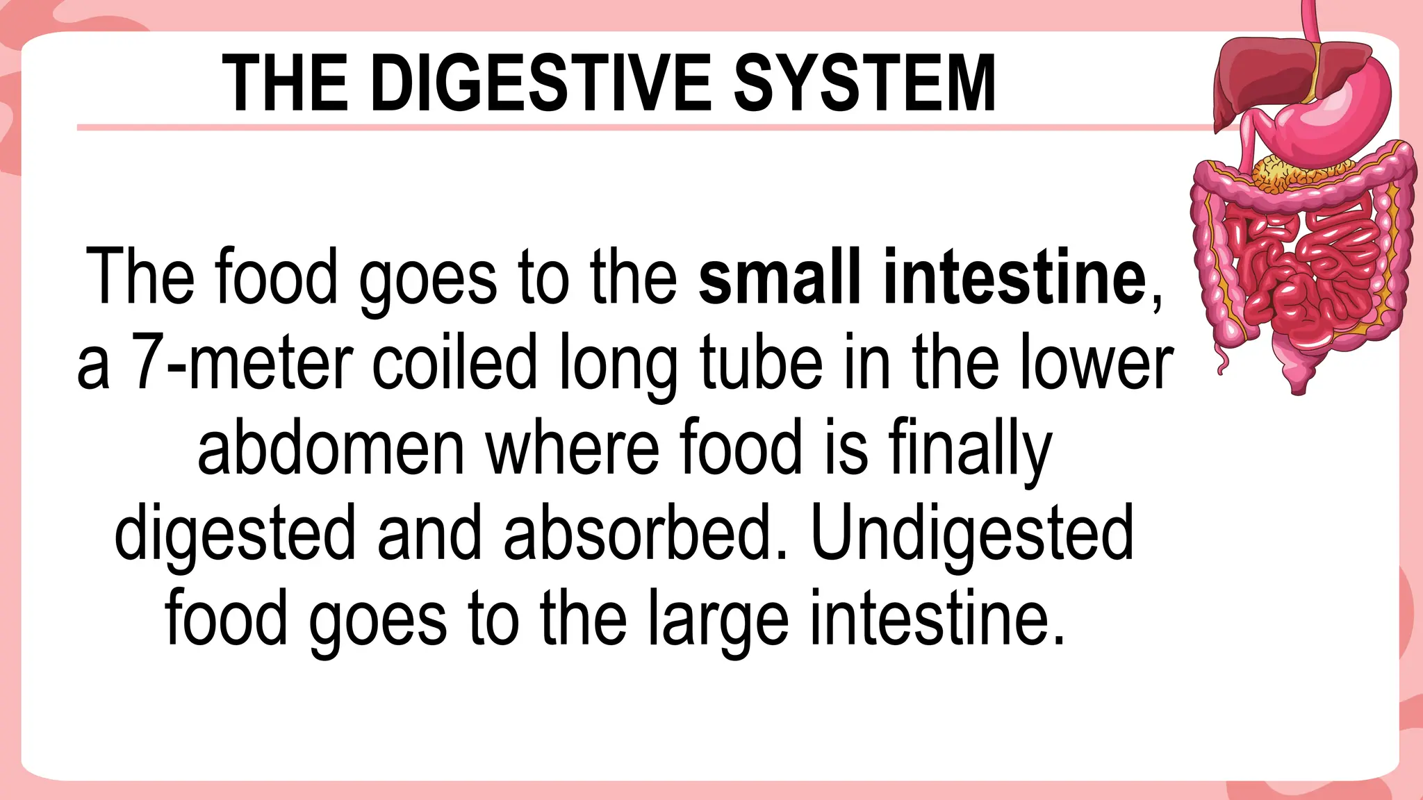 Q2_SCIENCE_PPT_WEEK 2.pptx POWERPOINT PPT | PPTX