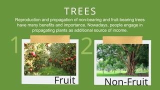 Q2 Week 1&2-Fruit and Non-Fruit Trees.pptx