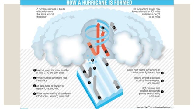 Q2 Week 6 Typhoon Formation.pptx | Weather | Science