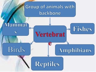 Q2Wk5 Science 6 vertebrates animal day 1.pptx