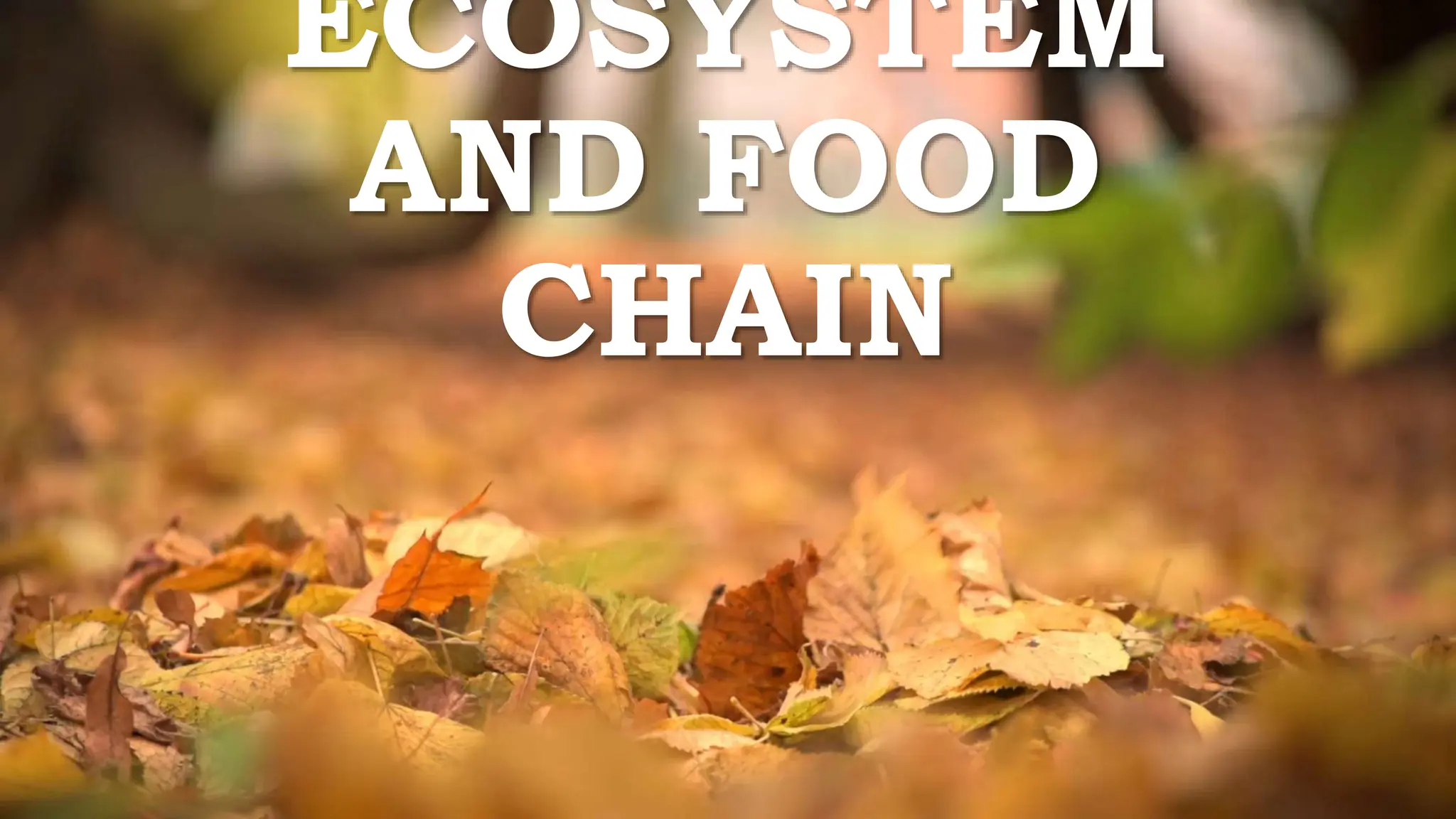 Quarter2 WeeK 6 SCIENCE ecosystem and food chain.pptx