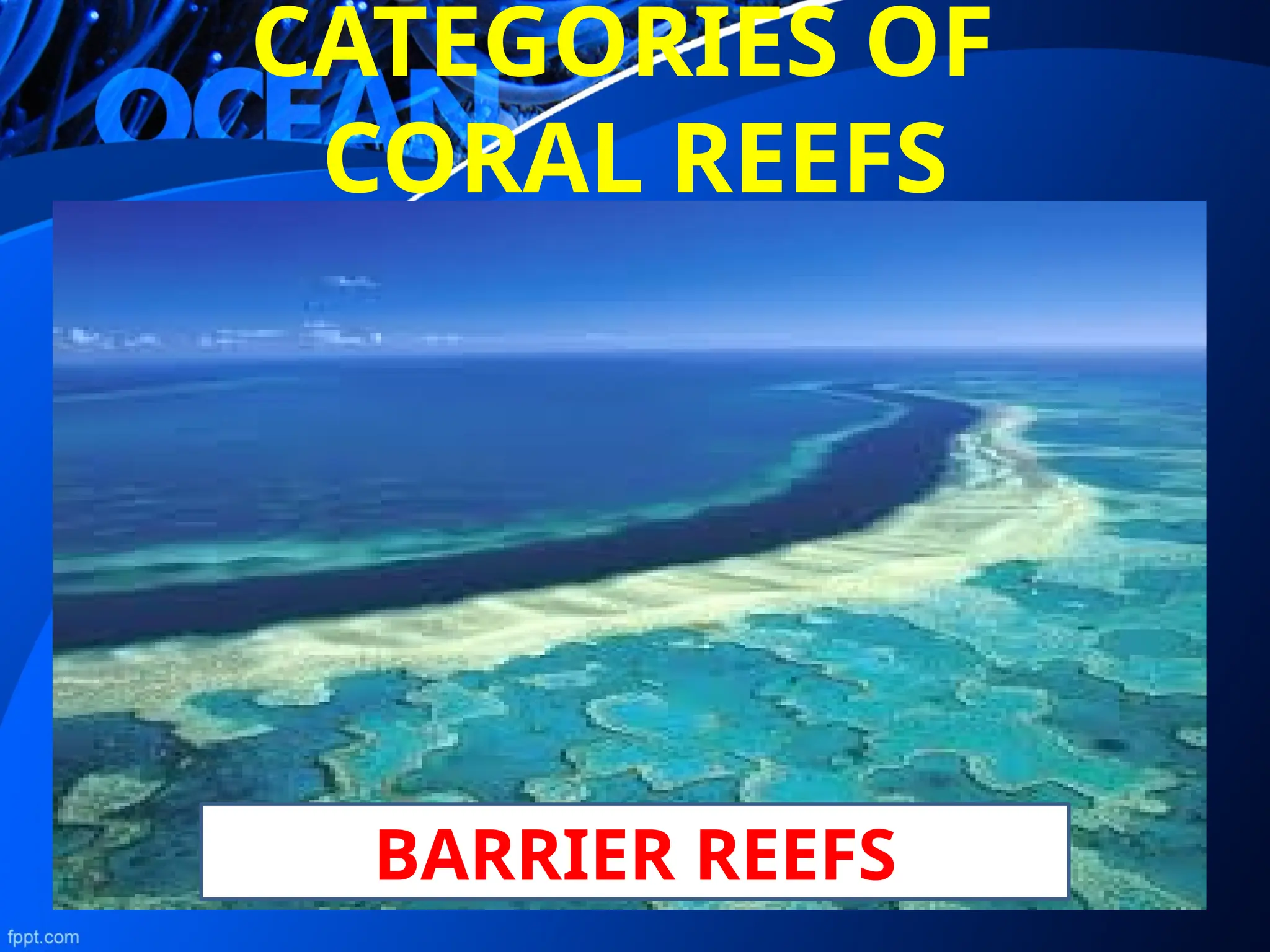 science 6 Q2 WK9 taking care of our CORAL REEFS.pptx