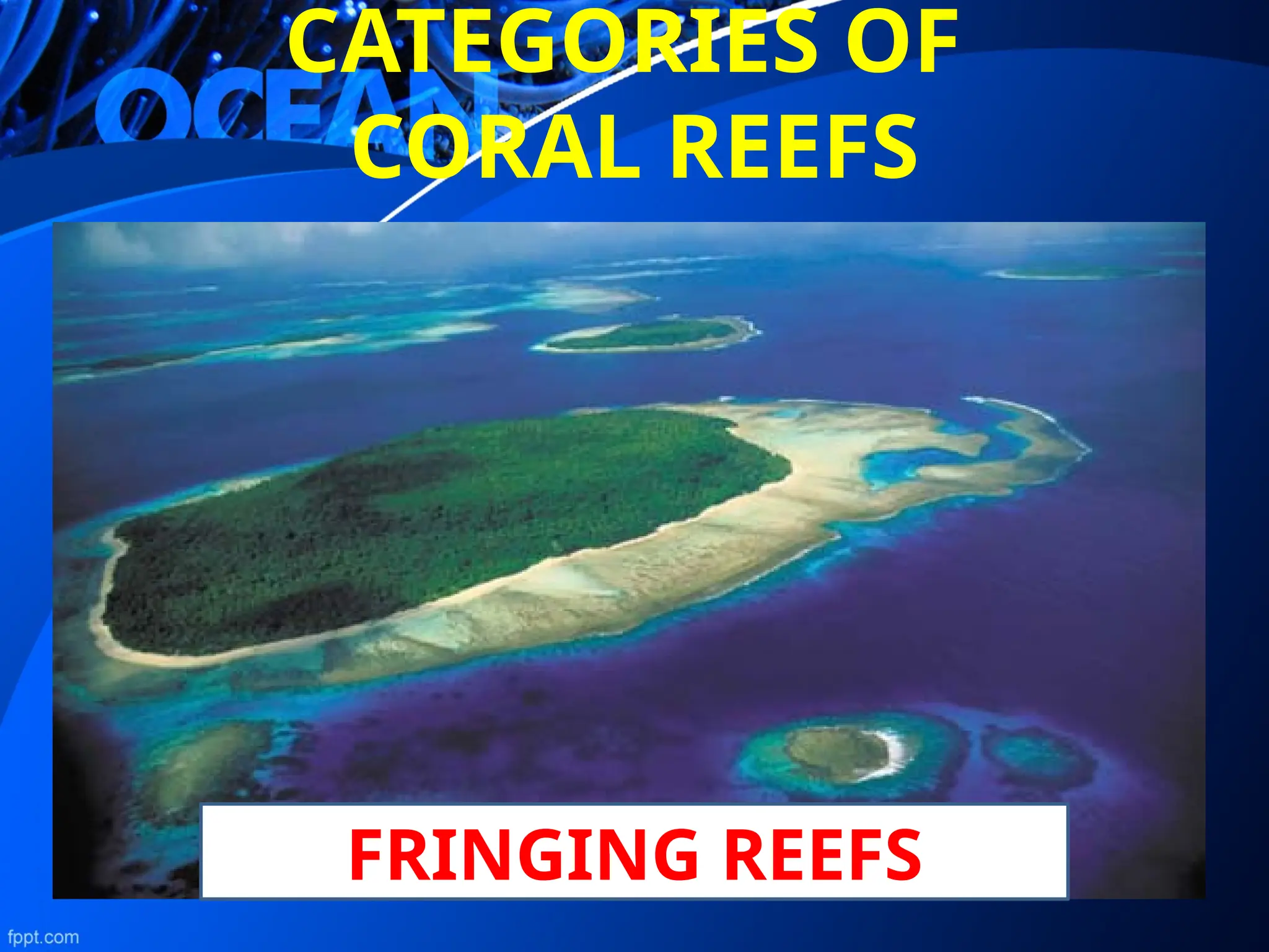 science 6 Q2 WK9 taking care of our CORAL REEFS.pptx