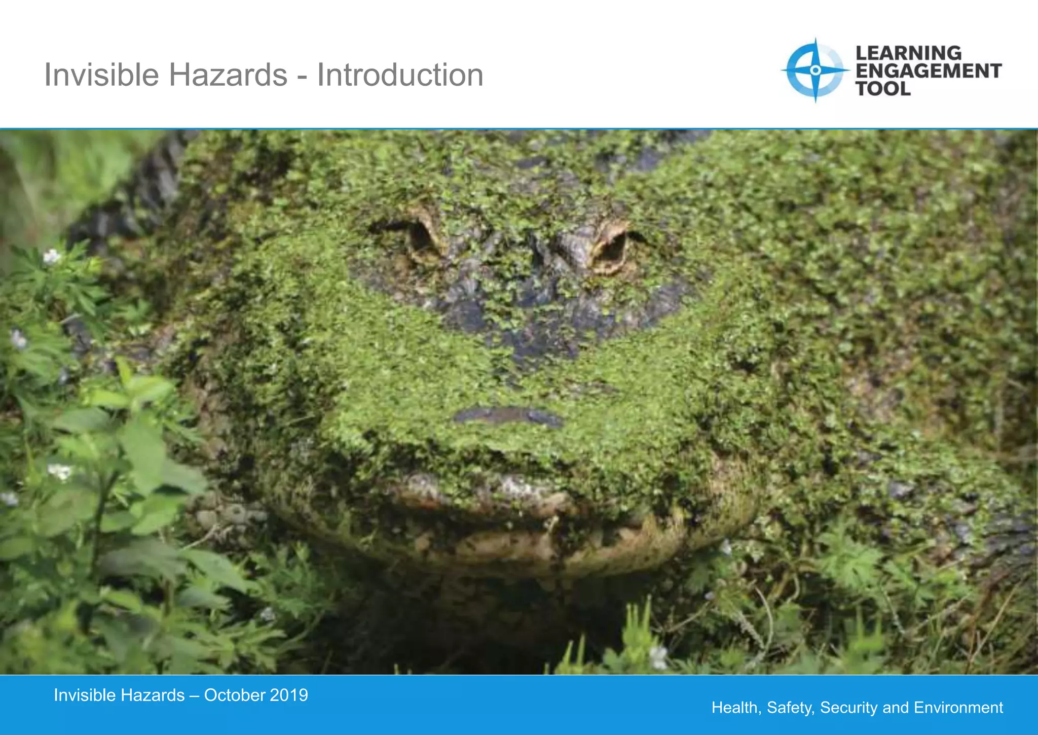 Q3-2019 Invisible Hazards.pptx