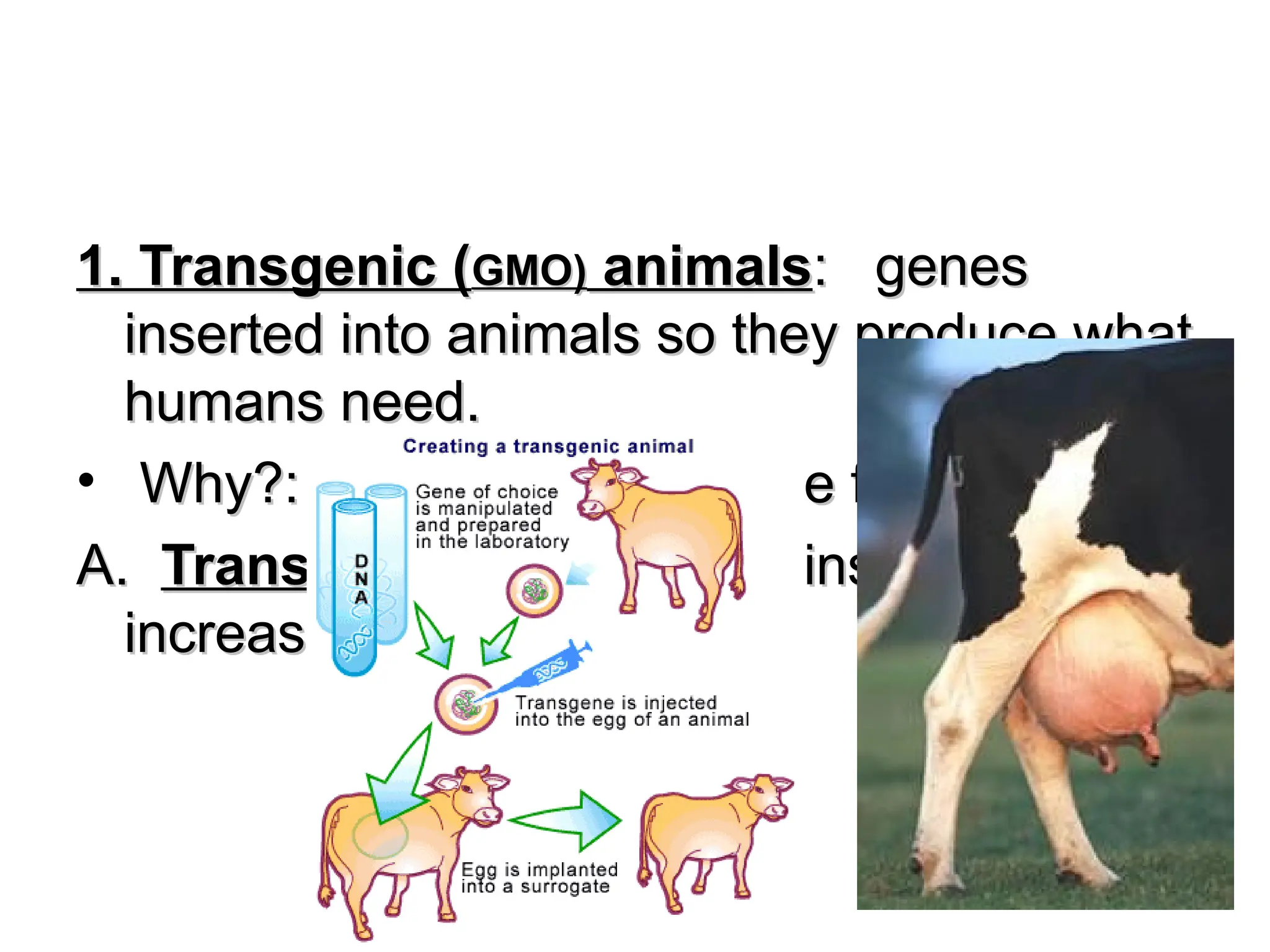 Q3-genetic_technology.ppt for grade 8 students | PPT