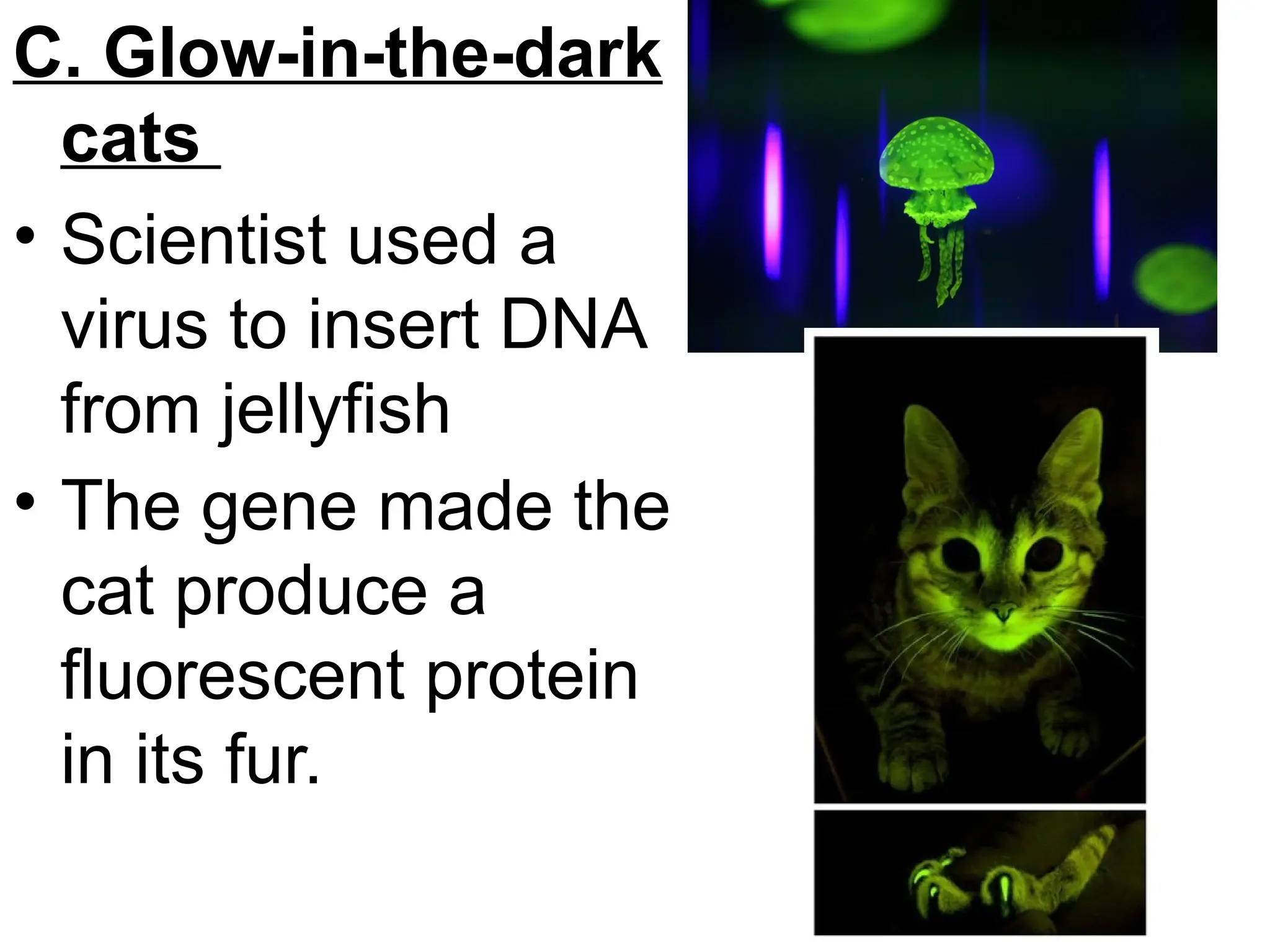 Q3-genetic_technology.ppt for grade 8 students | PPT