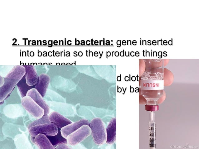 Q3-genetic_technology.ppt for grade 8 students | PPT