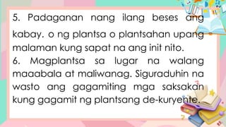 Q3-W4-EPP 5.pptx Batayan sa Tamang Pamamalantsa | PPTX