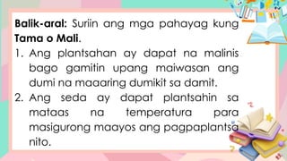 Q3-W4-EPP 5.pptx Batayan sa Tamang Pamamalantsa | PPTX