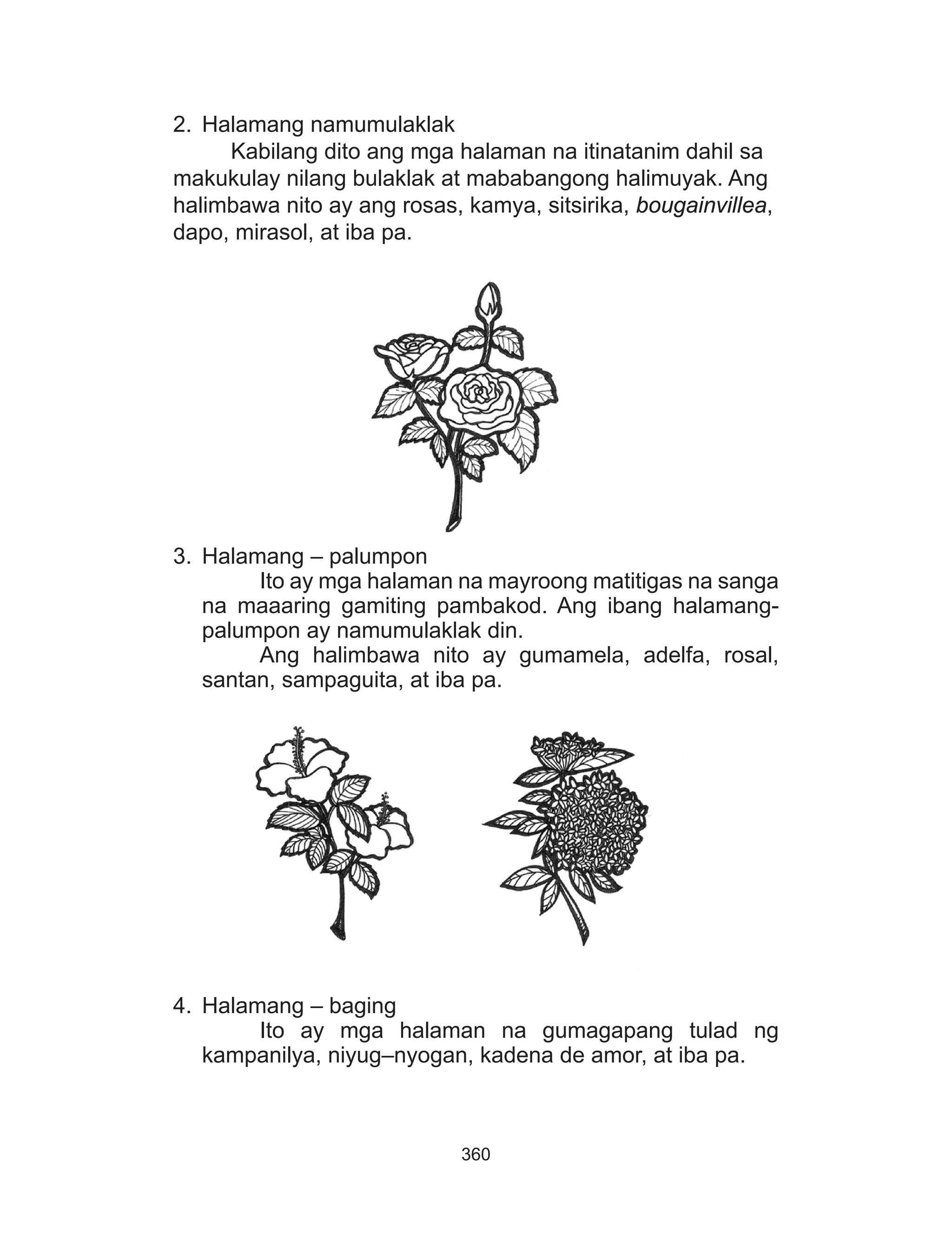 Q3 epp agri v2 | PDF