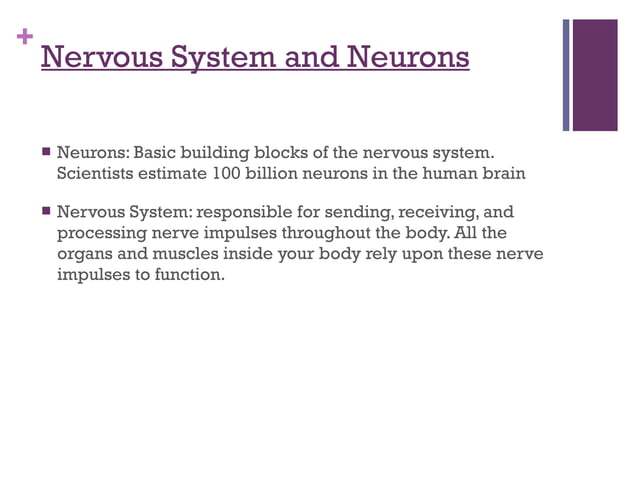 Q3 L01 - why study the brain and the nervous system | PPT