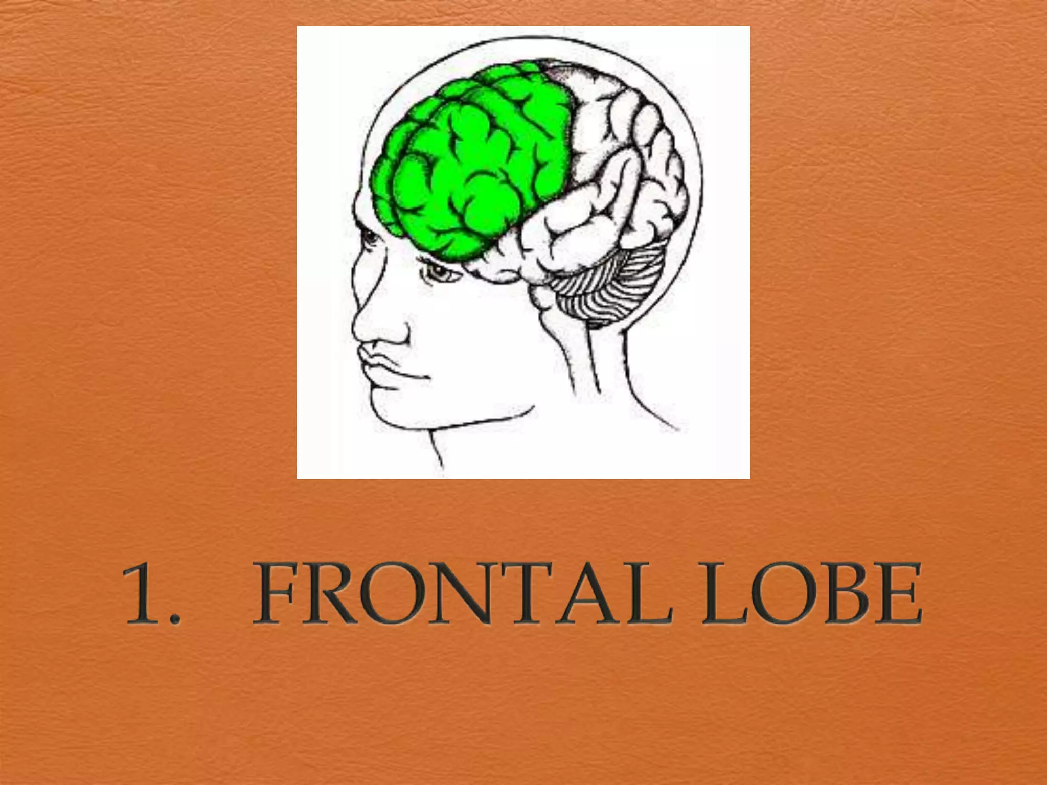Q3 L03 Frontal Lobe | PPTX