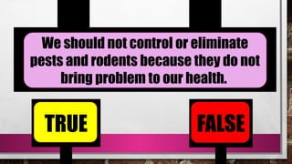 Q3 l Health 6 l Lesson 6 l Effects of Pests and Rodents to Ones Health.pptx