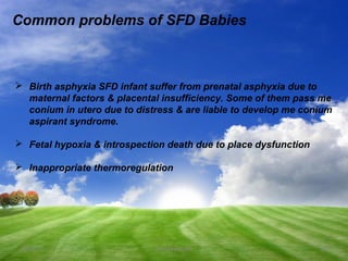 Q3 LOW BIRTH BABY SLIDESHARE.pdf