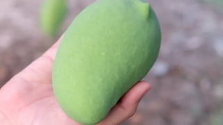 Q3 M7 READER RESPONSE APPROACH.pdf