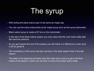 Black walnut sugaring and tree health | PPTX