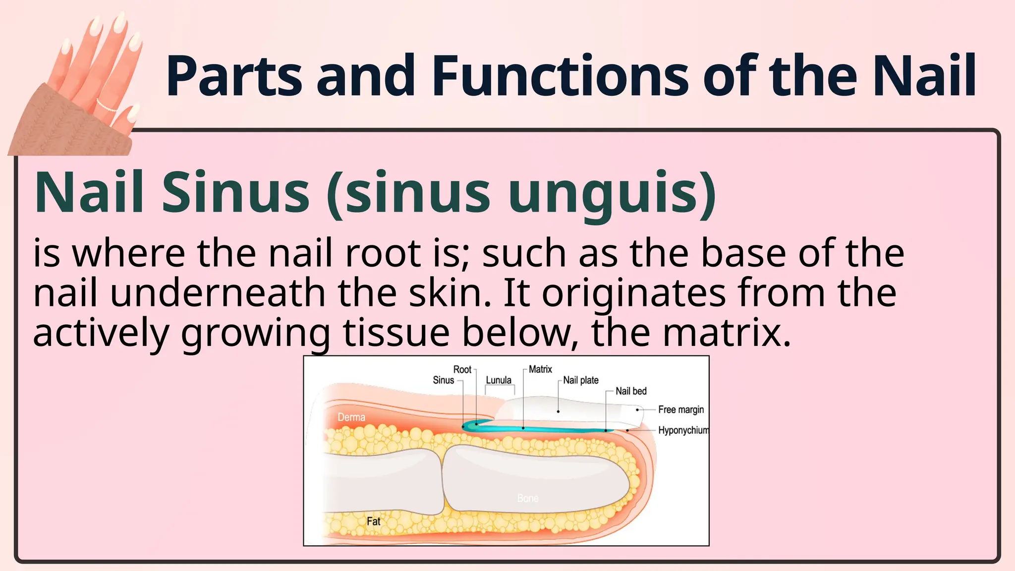 Q3 TLE 8 - Week 1 (1).pptx for grade 8 skin nail care | PPTX