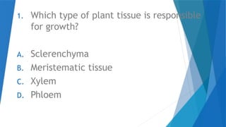 Q3W1 BIOLOGY 2 - Types of Plant Tissues and Their Identification.pptx