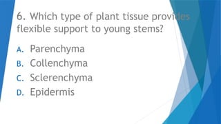 Q3W1 BIOLOGY 2 - Types of Plant Tissues and Their Identification.pptx