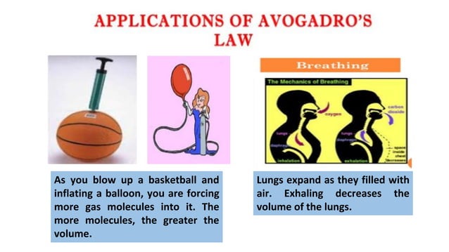 GRADE 10 SCIENCE - GAS LAW-AVOGADROS LAW | PDF