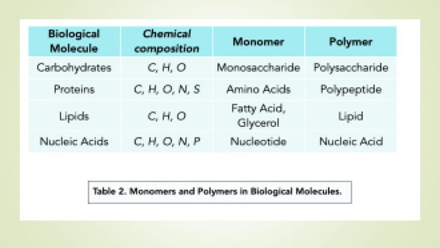 GRADE 10 SCIENCE BIOMOLECULES PRESENTS IN FOOD | PPT
