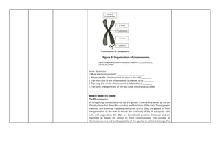 Q4-W2-Cell-Division-WHLP.docx
