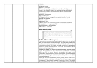 Q4-W2-Cell-Division-WHLP.docx