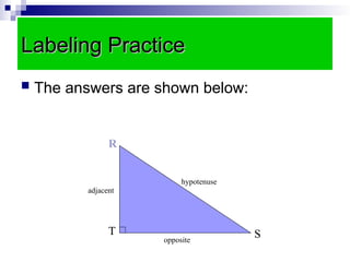 Math 9_ Labeling right triangles of Trigonometric | PPT