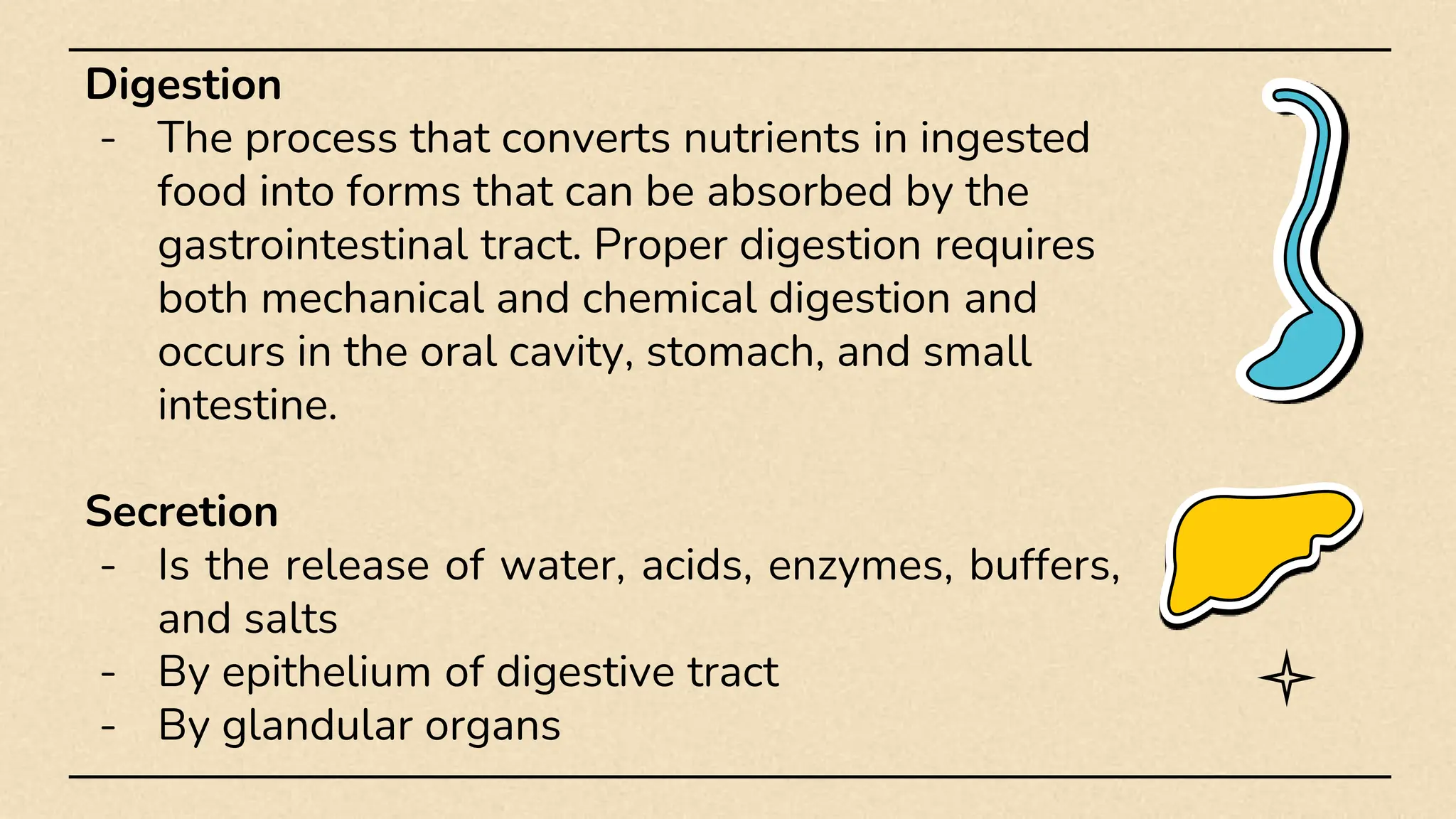 Quarter 4_Grade 8_Digestive System Structure and Functions | PPTX