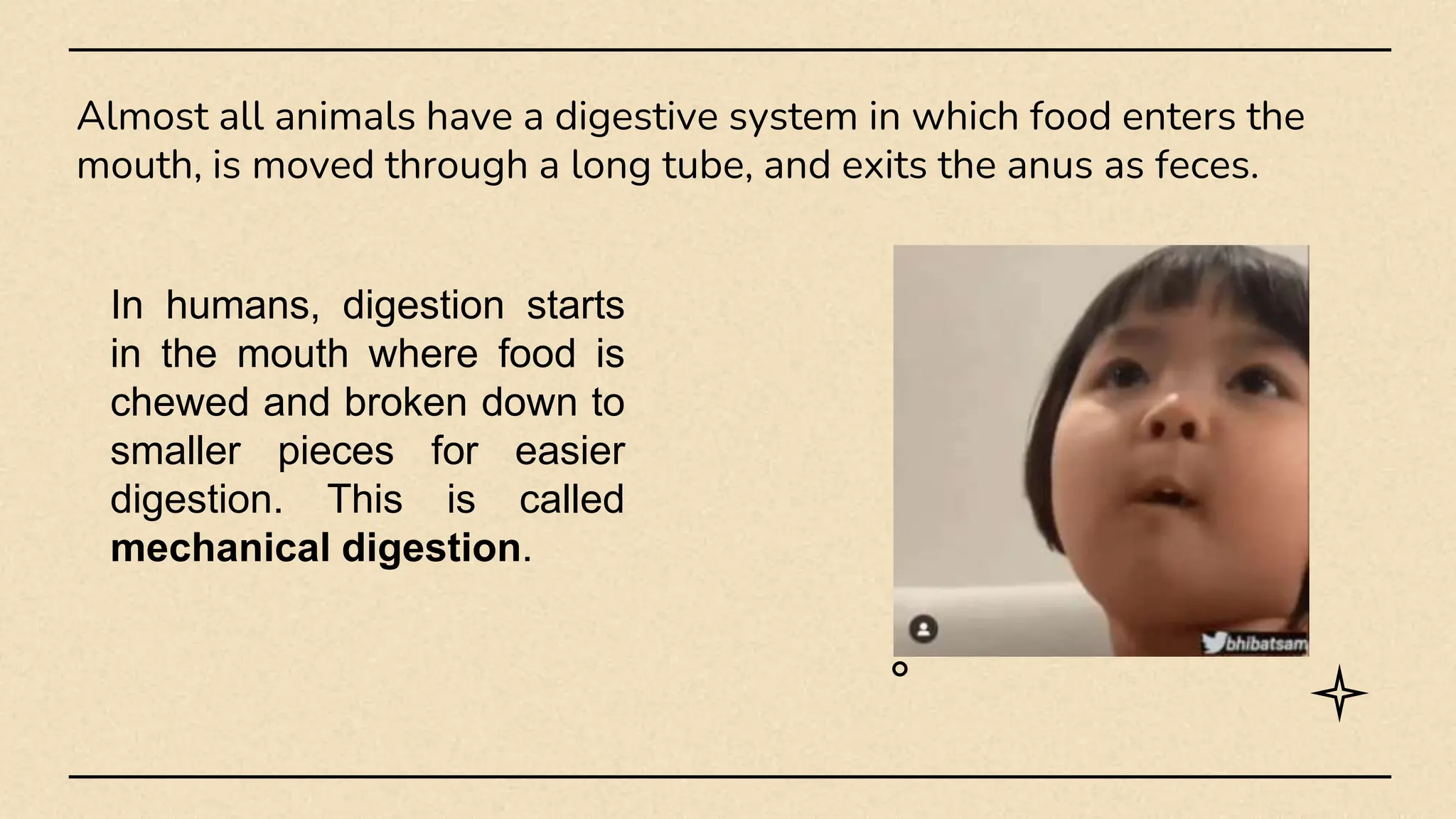 Quarter 4_Grade 8_Digestive System Structure and Functions | PPTX