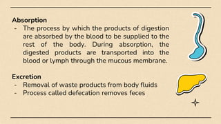 Quarter 4_Grade 8_Digestive System Structure and Functions | PPTX