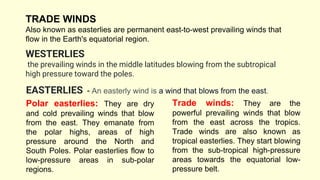 QUARTER 4 IN THE HEAT OF THE SUN LESSON.pdf