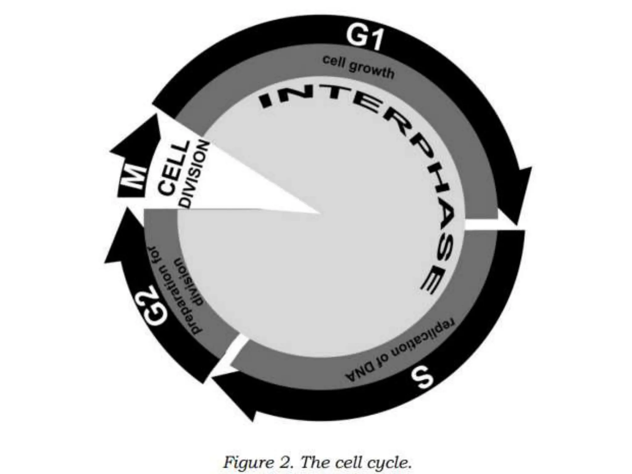 Heredity: Inheritance and Variation of Traits | PPTX