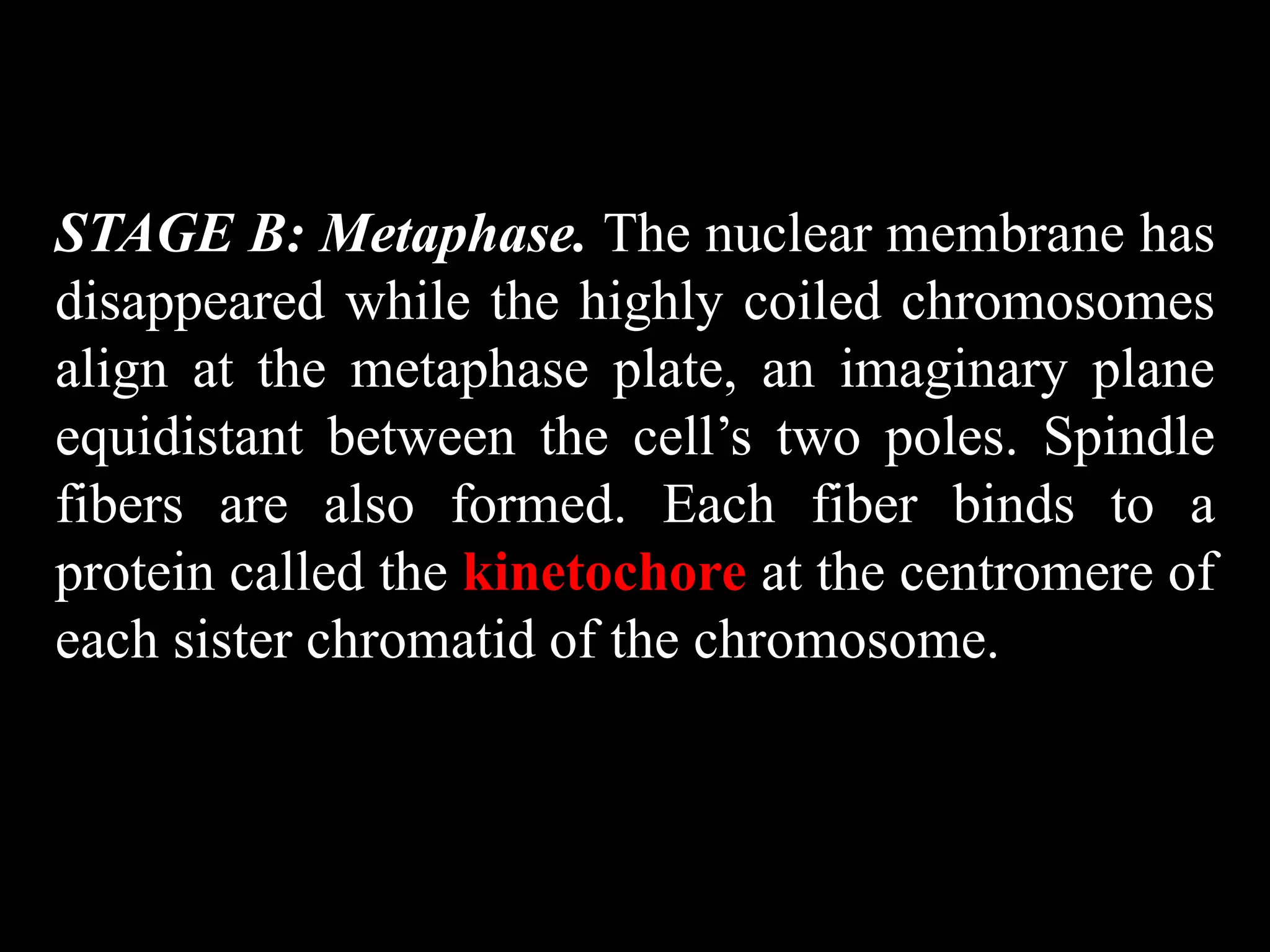 Heredity: Inheritance and Variation of Traits | PPTX