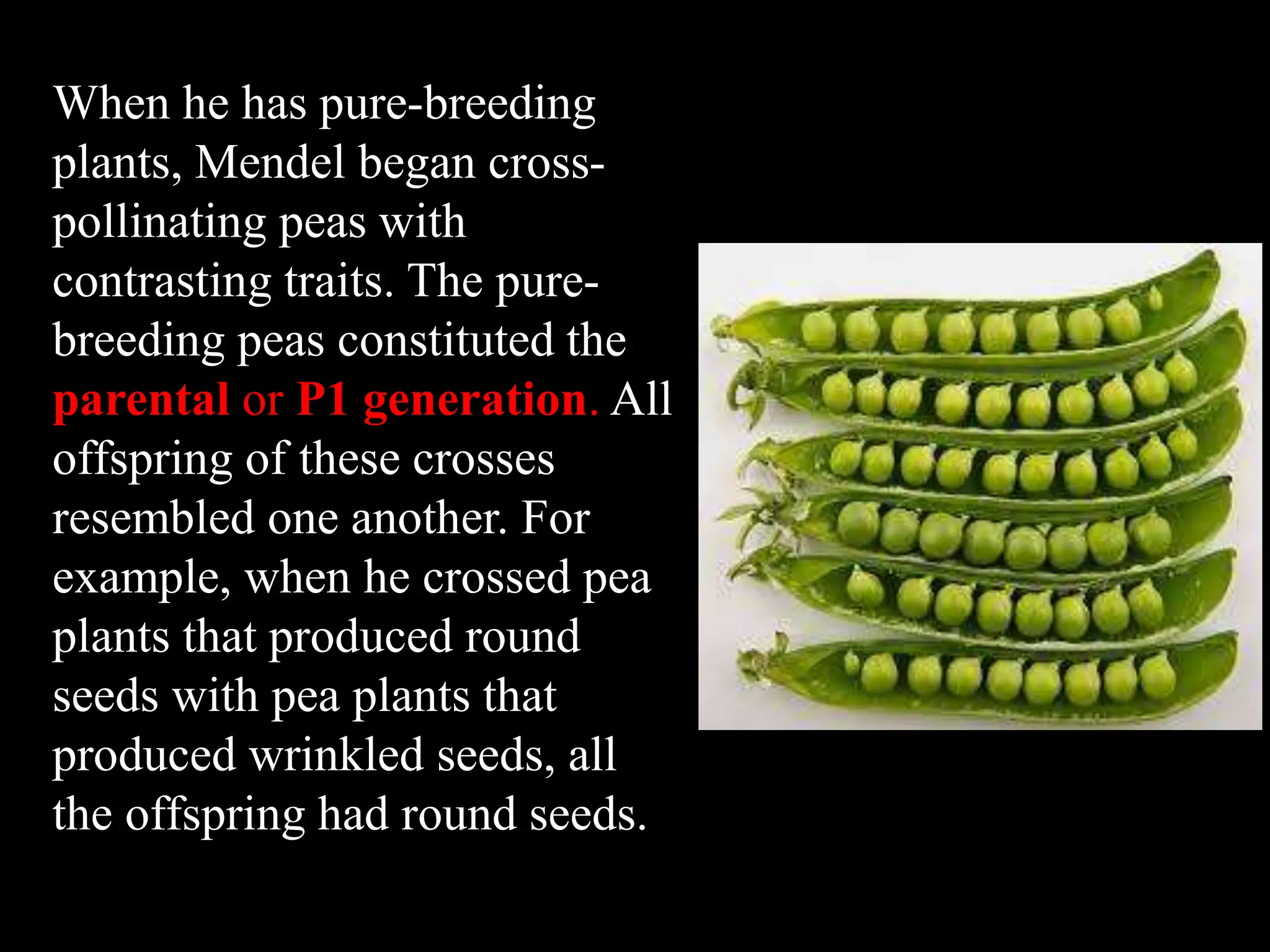 Heredity: Inheritance and Variation of Traits | PPTX