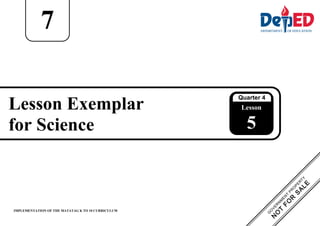 quarter 4 detailed lesson plan in science 7 | PDF