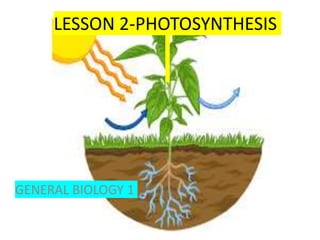 QUARTER 4 LESSON-2-PHOTOSYNTHESIS PPT FOR GENBIO | PPT