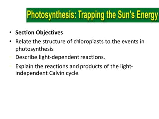 QUARTER 4 LESSON-2-PHOTOSYNTHESIS PPT FOR GENBIO | PPT