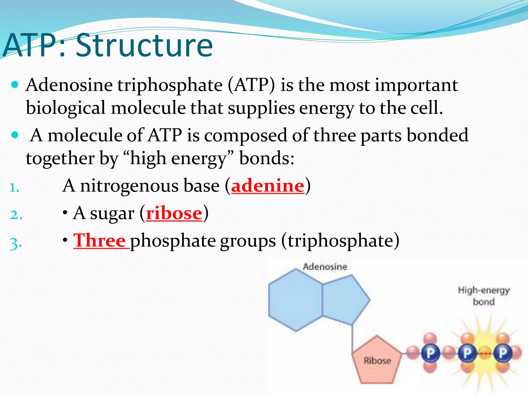 Q4_LESSON 1_ATP.pptx
