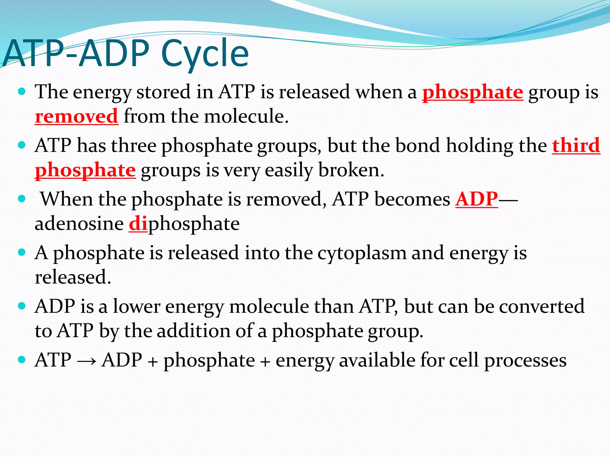 Q4_LESSON 1_ATP.pptx