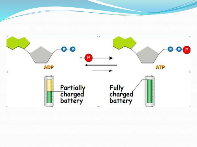 Q4_LESSON 1_ATP.pptx