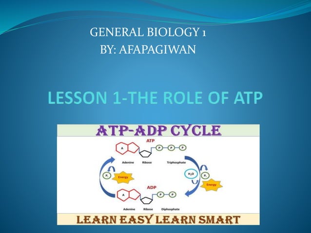 Q4_LESSON 1_ATP.pptx