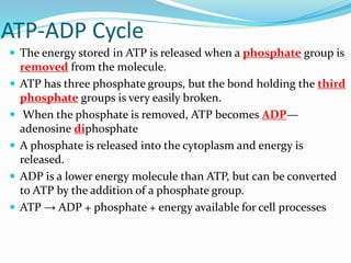 Q4_LESSON 1_ATP.pptx