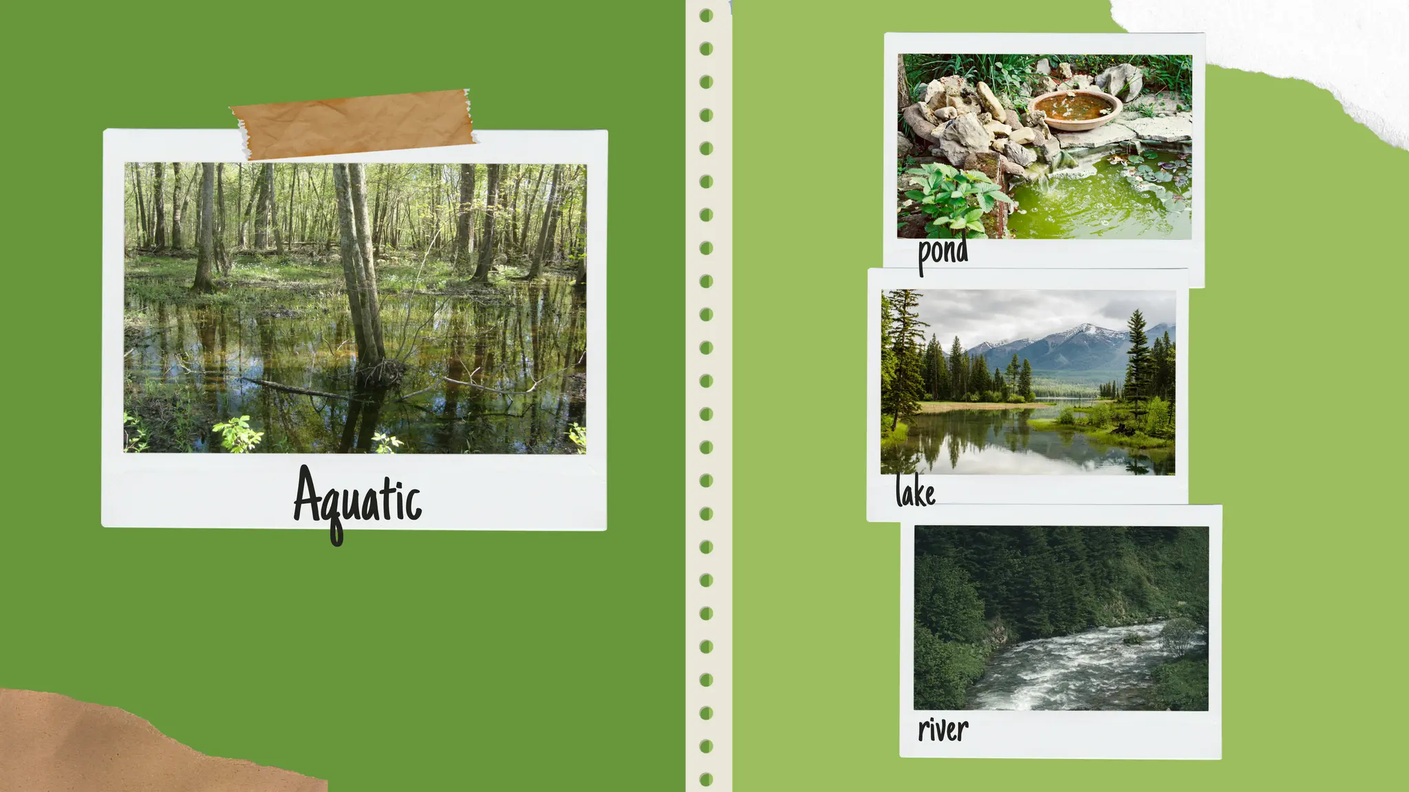 GRADE 8 SCIENCE MODULE 6- BIODIVERSITY.pdf