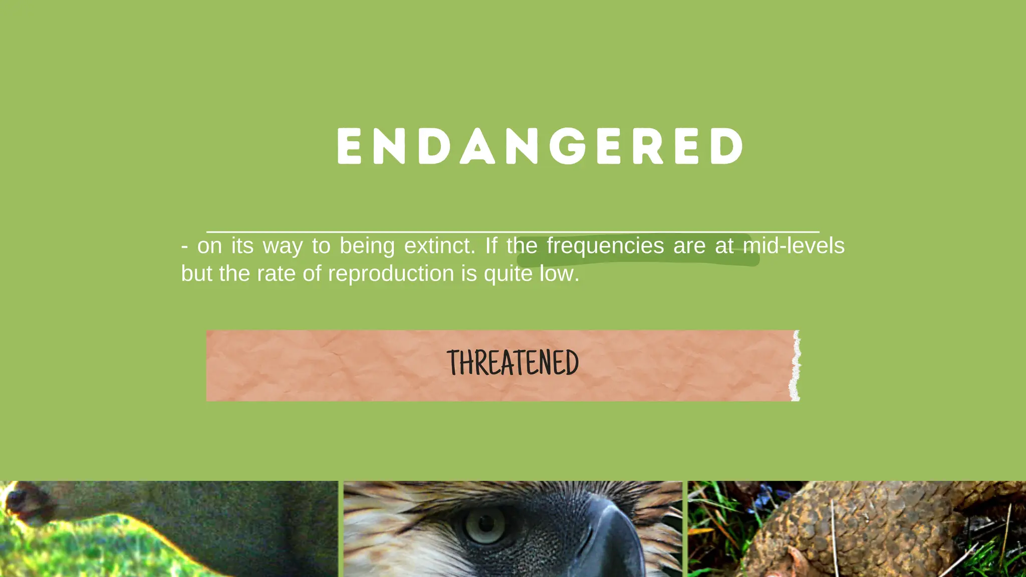 GRADE 8 SCIENCE MODULE 6- BIODIVERSITY.pdf