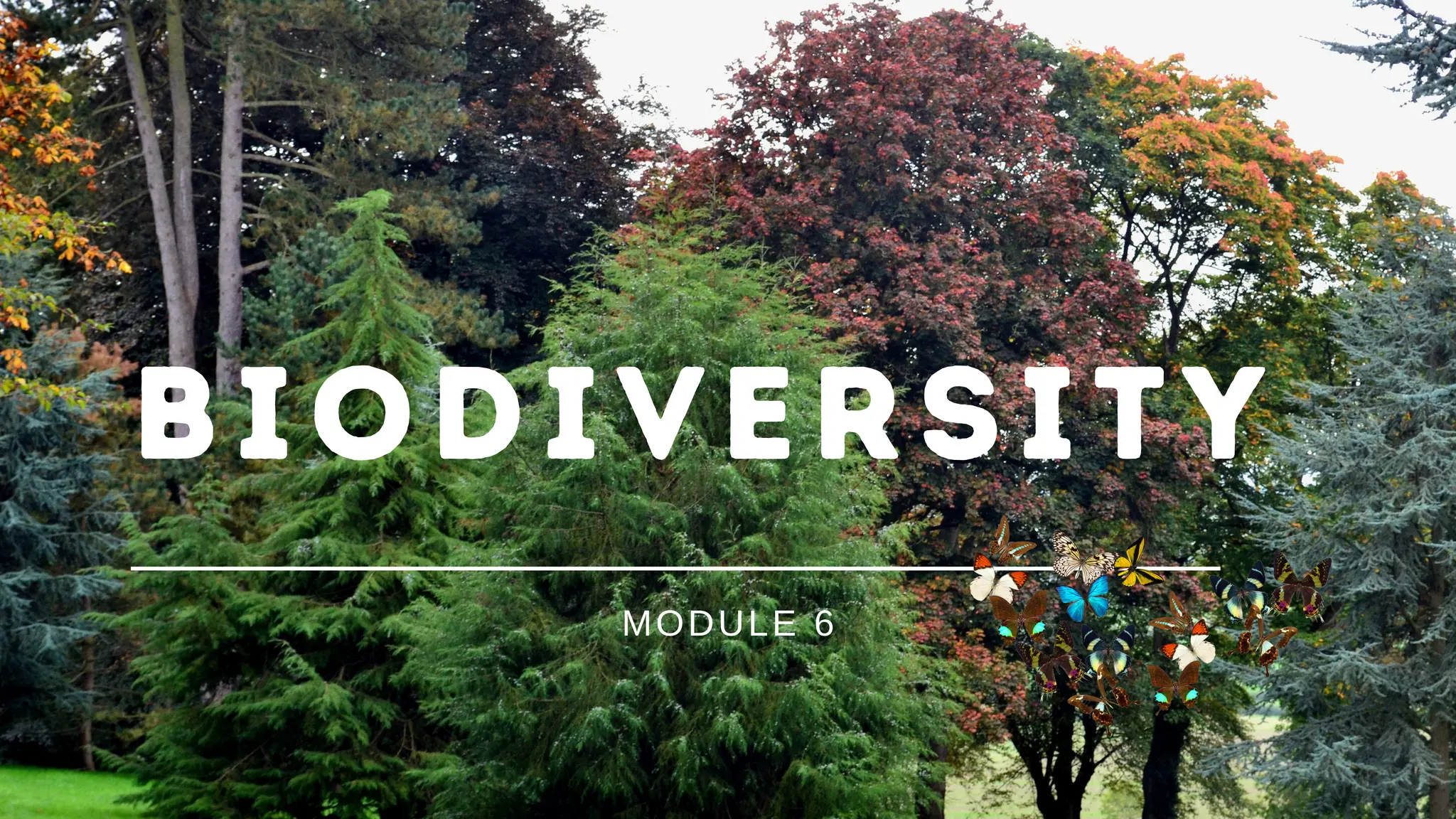 GRADE 8 SCIENCE MODULE 6- BIODIVERSITY.pdf