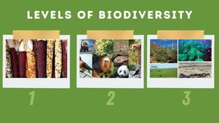 GRADE 8 SCIENCE MODULE 6- BIODIVERSITY.pdf
