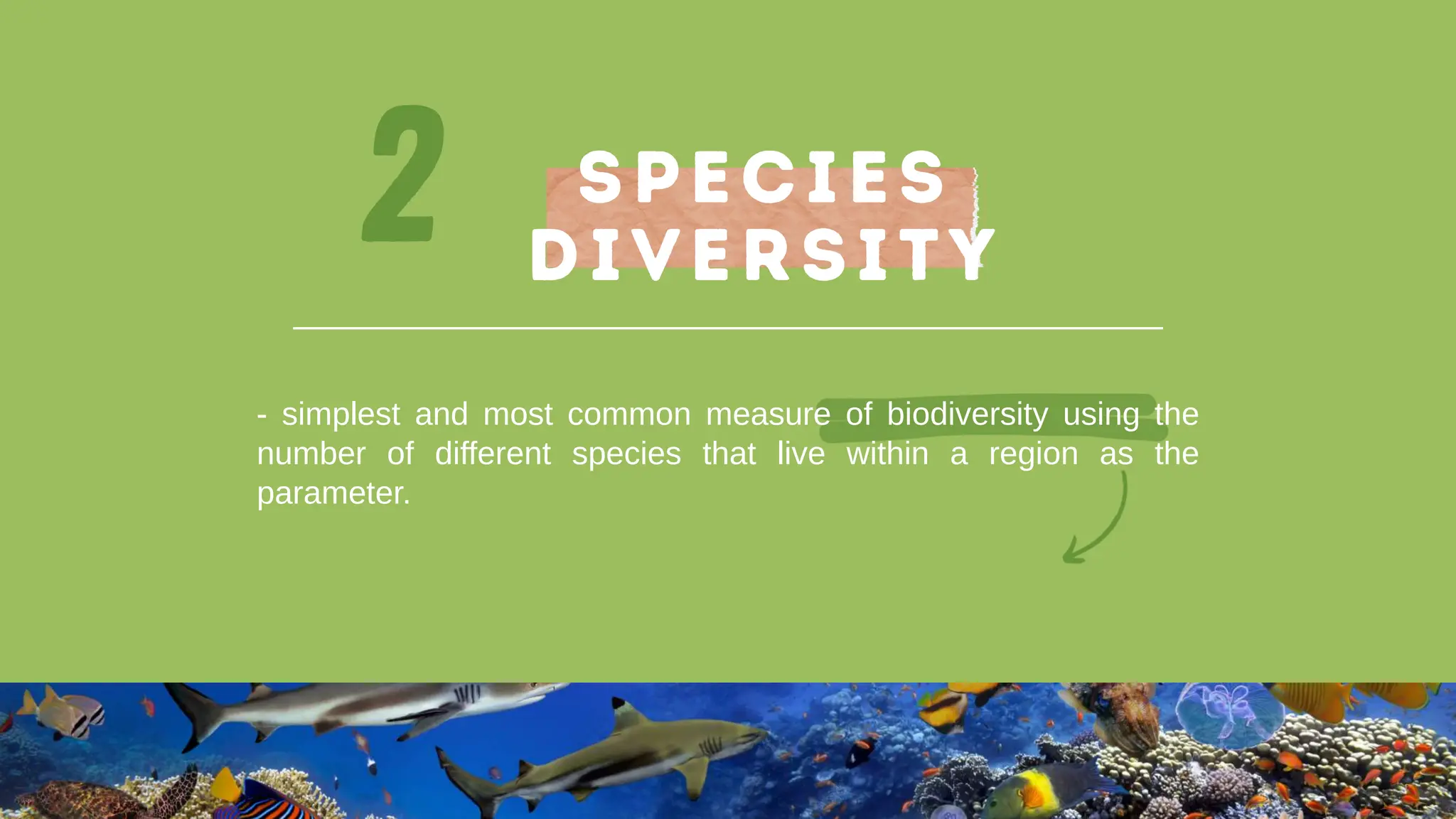 GRADE 8 BIODIVERSITY SCIENCE 8 COPY.pptx